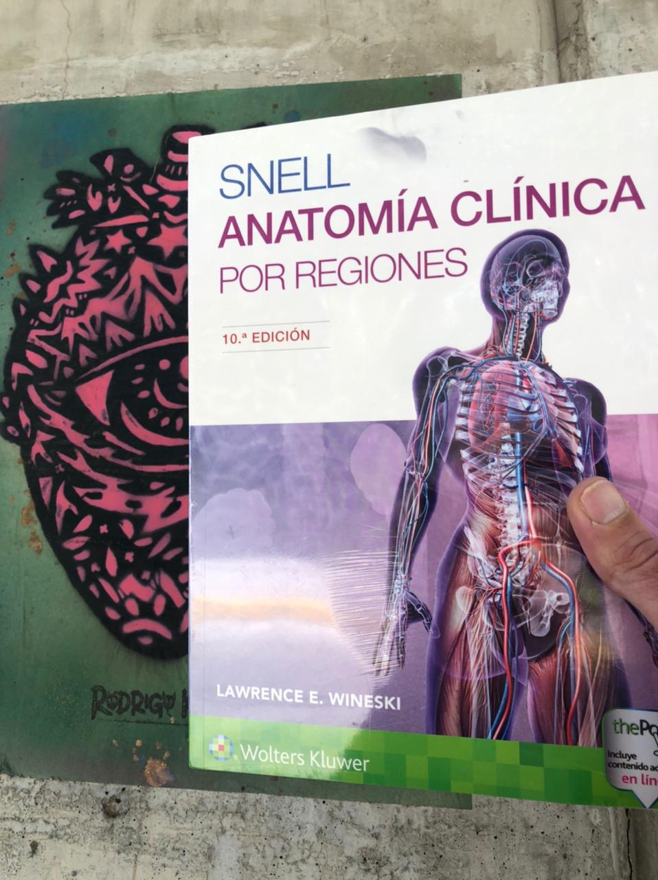 Anatomía Clínica Por Regiones Amazon.com: Snell. Anatomía Clínica