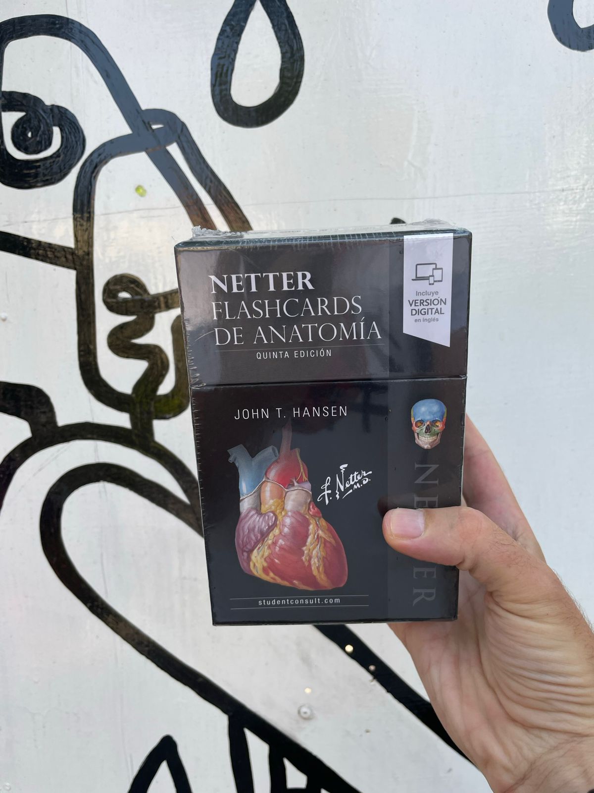 Netter. Flash cards de anatomía