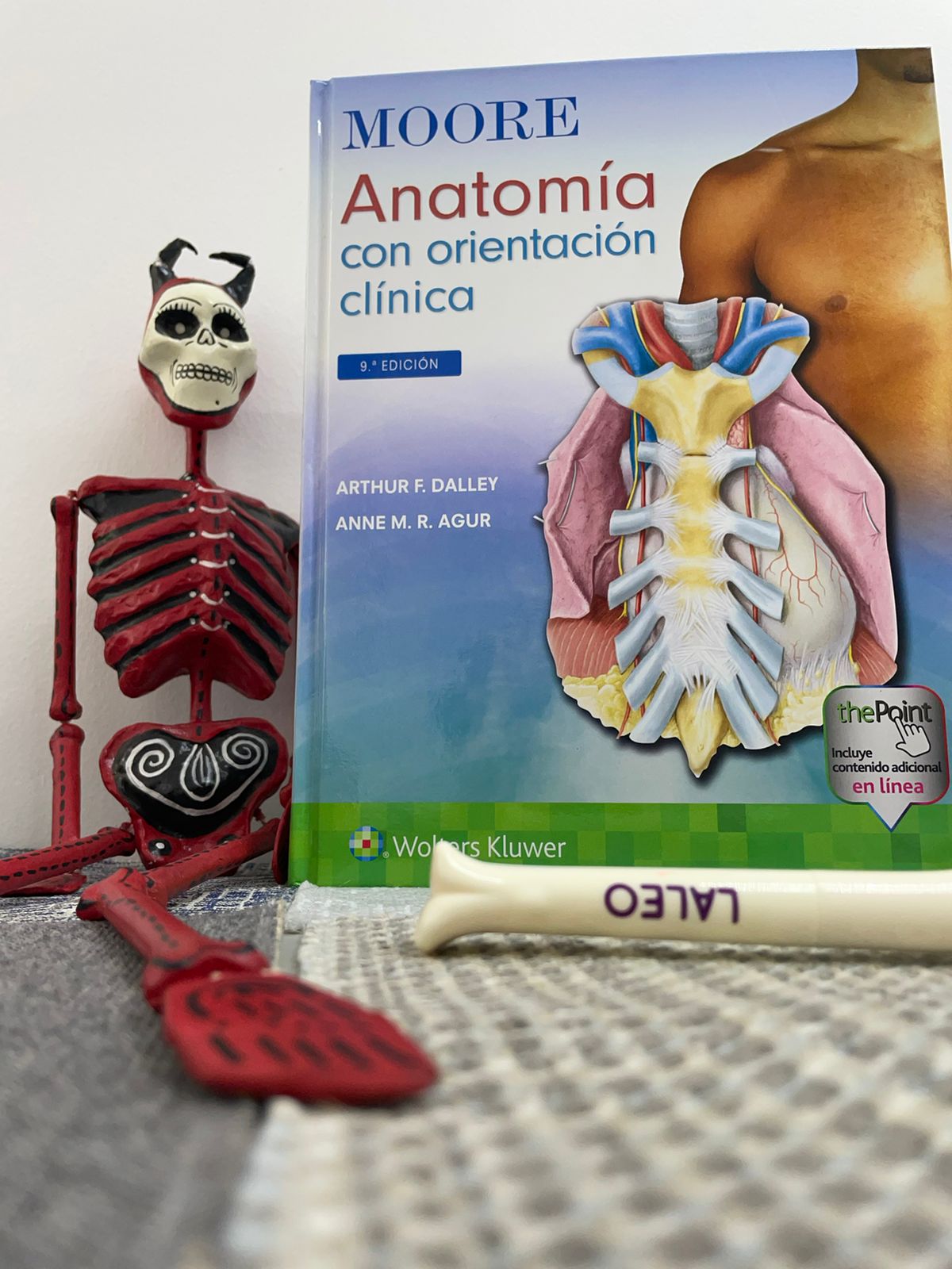 Anatomía De Keith Moore