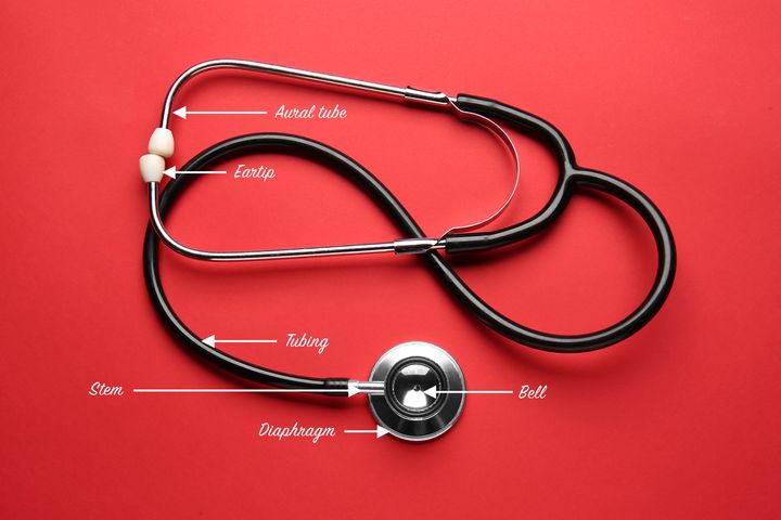 La anatomía de un Estetoscopio Littmann